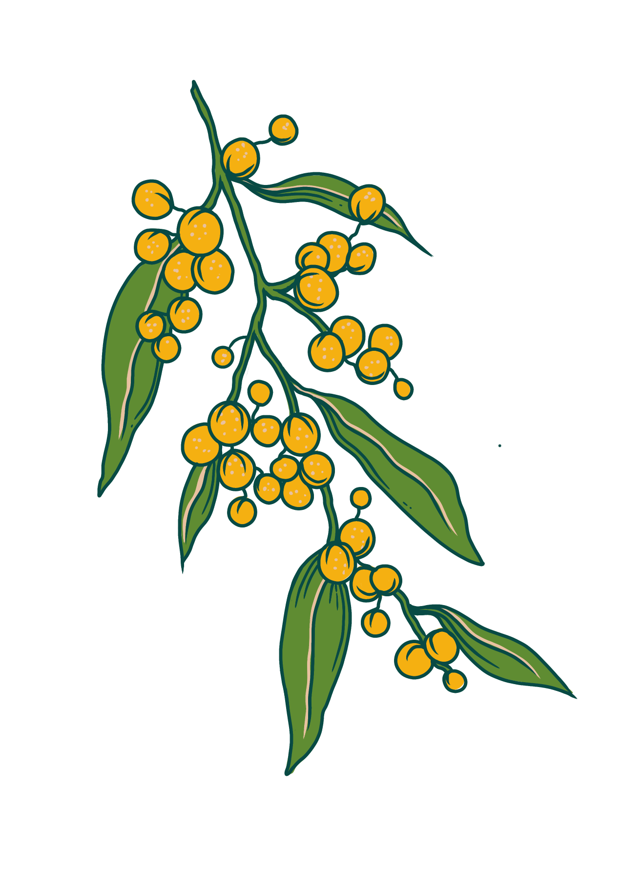 Wattle Admission : Makers in Business Online Symposium - Make Good ...